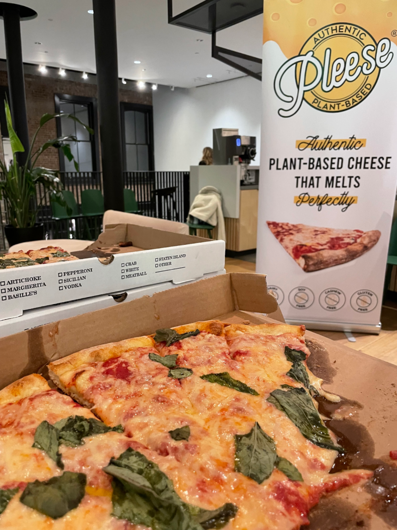 Want Cheese Without the Side Effects Of Dairy? Just Say Pleese®