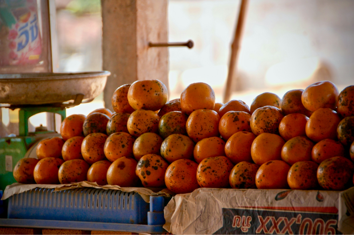 Enhancing Citrus Farming with Premergy's Drone Technology