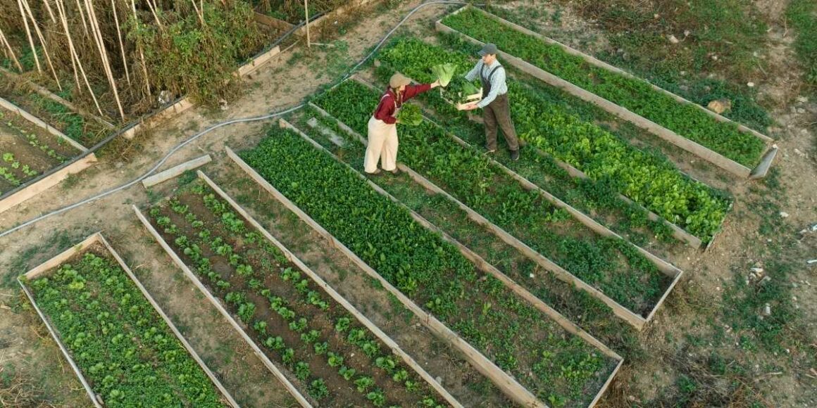 Sustainable Agriculture Practices: Promoting Eco-Friendly Farming ...